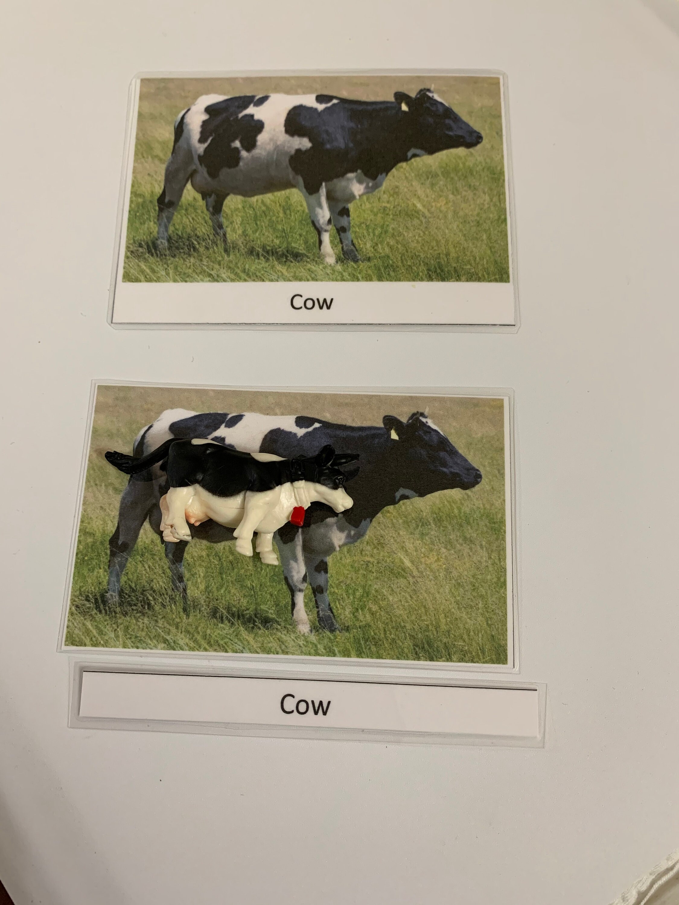 Farm Animal Montessori Inspired Activity 3 Part Cards Safari | Etsy