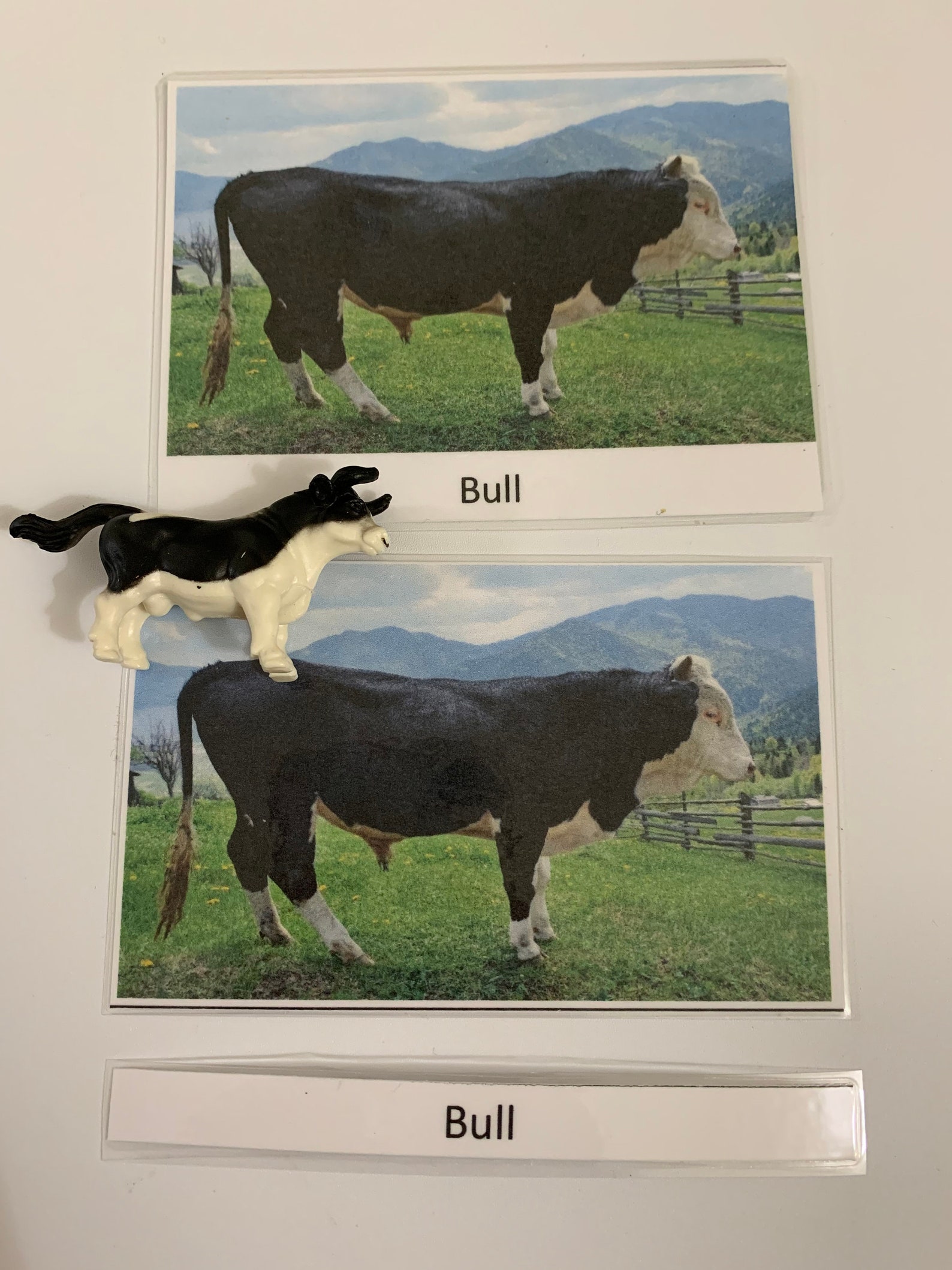 Farm Animal Montessori Inspired Activity 3 Part Cards, Figures ...