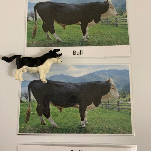 Farm Animal Montessori Inspired Activity 3 Part Cards - Etsy