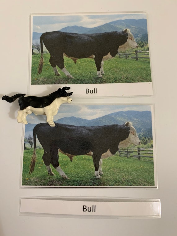 Farm Animal Montessori Inspired Activity 3 Part Cards Safari | Etsy