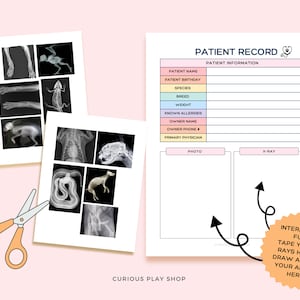Printable Vet Clinic Kit for Kids | Children's Printable Activity ...