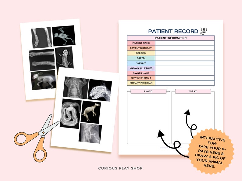 Printable Vet Clinic Kit for Kids | Children's Printable Activity ...