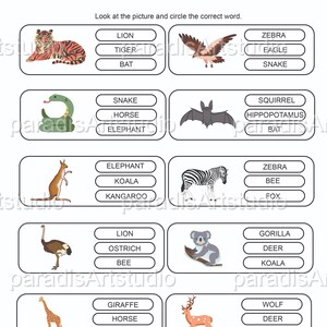 Wild Animals Worksheets, Animal Worksheets for Kids, Printable ...