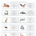 Wild Animals Worksheets, Animal Worksheets for Kids, Printable ...