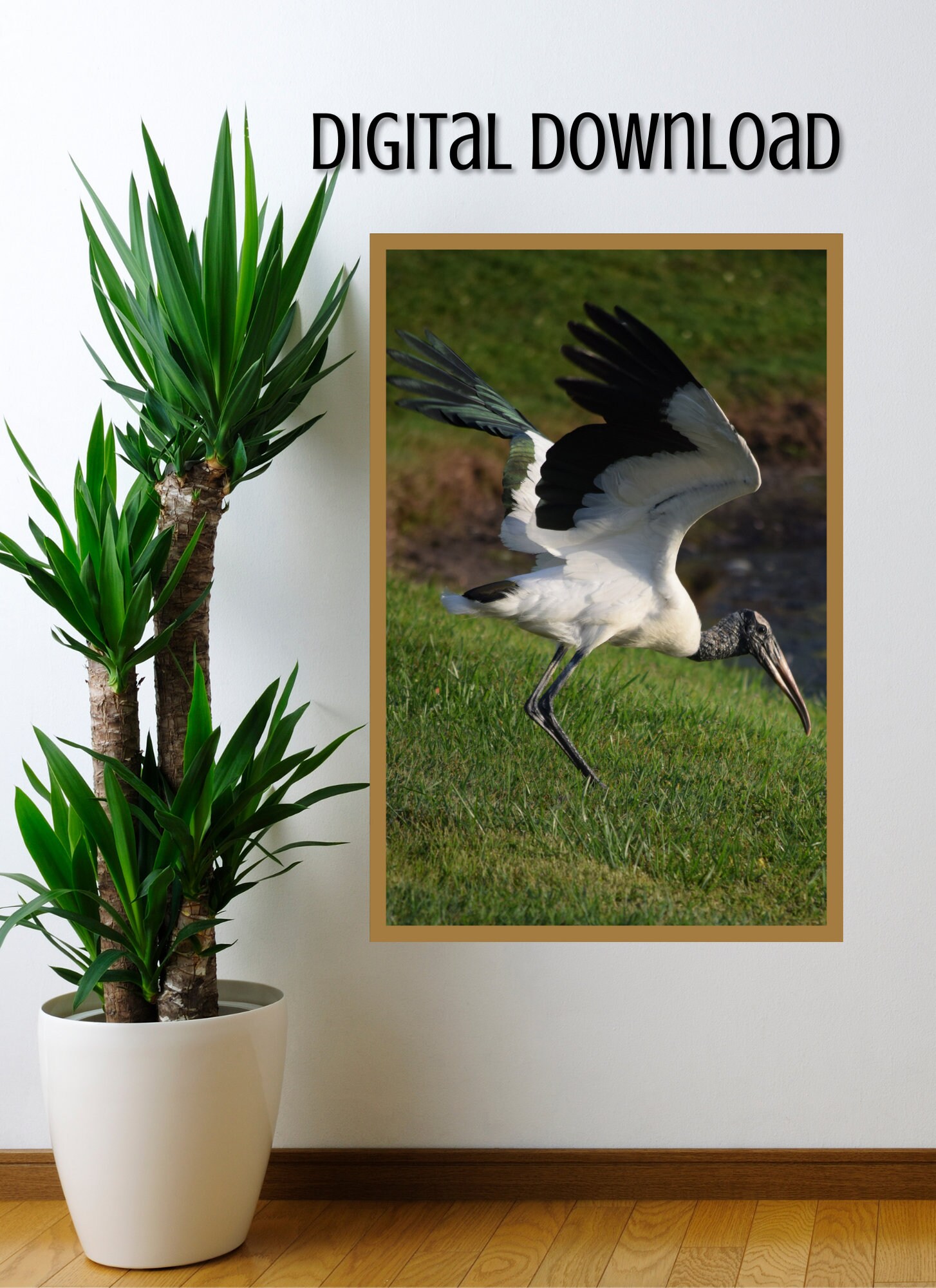 Dancing Wood Stork Digital Download - Etsy