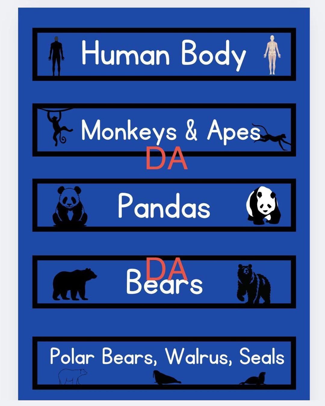 Shelf Labels– Non Fiction - Modern Neutral Classroom or Pantry Tags ...