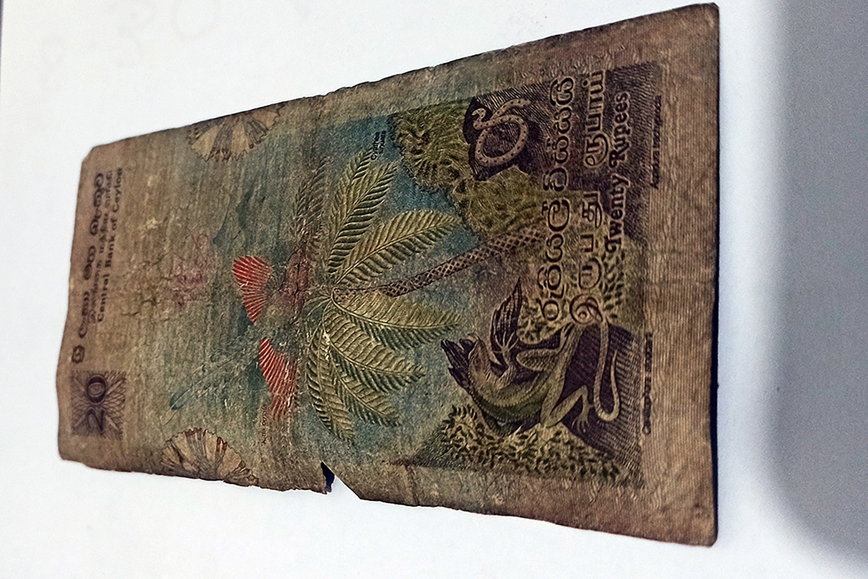 Ceylon 20 Rupee Banknote | 1979 | Old Sri Lankan Banknote -columba ...