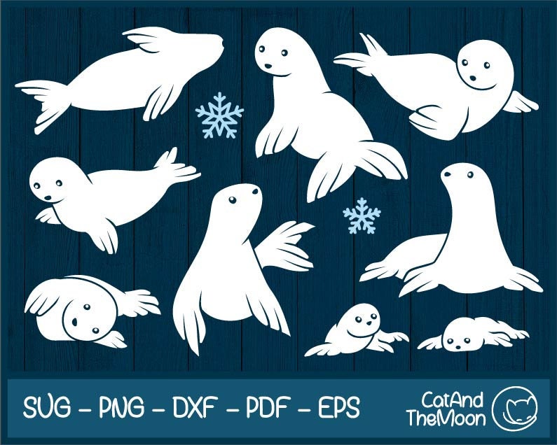 Arctic Seal Svg - White Seal Svg, Cute Seal Svg, Baby Seal Svg, Cute ...