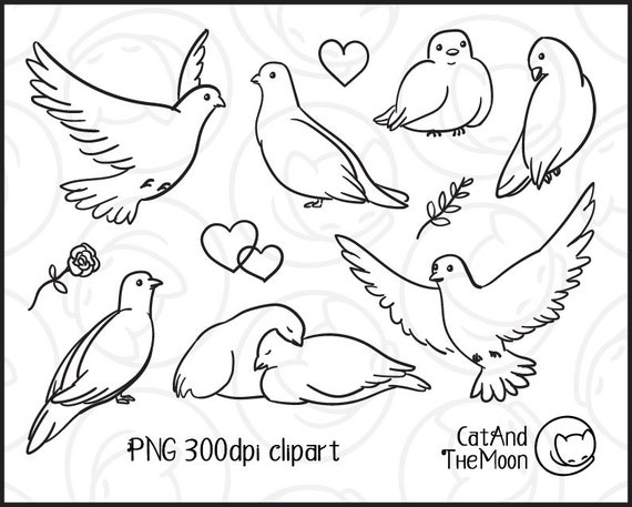 Doves Birds Clipart Flying