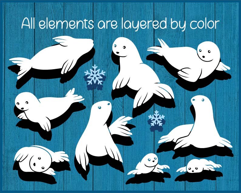 Arctic Seal Svg - White Seal Svg, Cute Seal Svg, Baby Seal Svg, Cute ...