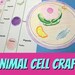 Plant and Animal Cell Jeopardy Classroom Game Review Basic Organelles ...