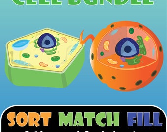 Gravity and Moon Boom Cards Digital Science Activity - Etsy