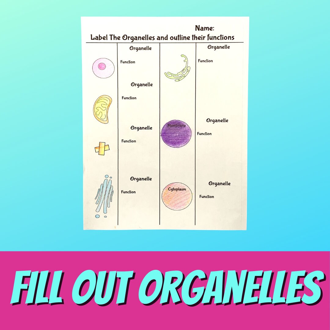 BUILD A CELL Coloring Activity Animal Cell Art Craft Science Review ...