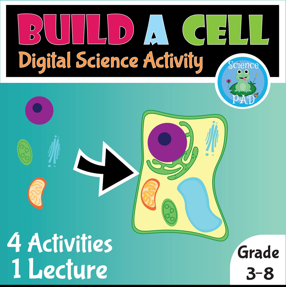 PLANT CELL ACTIVITY Online Activity Google Slides Science Homeschool ...