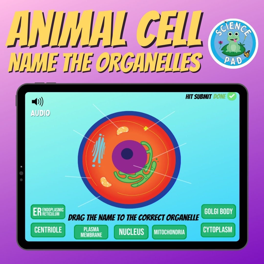 Animal Cell Name the Organelles | Labelling Self-marking Boom Cards ...