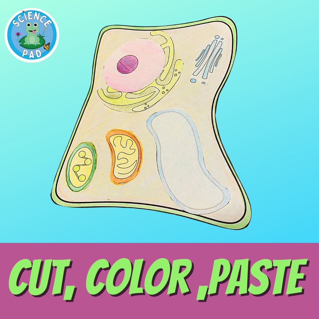 BUILD A CELL Coloring Activity Plant Cell Arts and Crafts Science ...