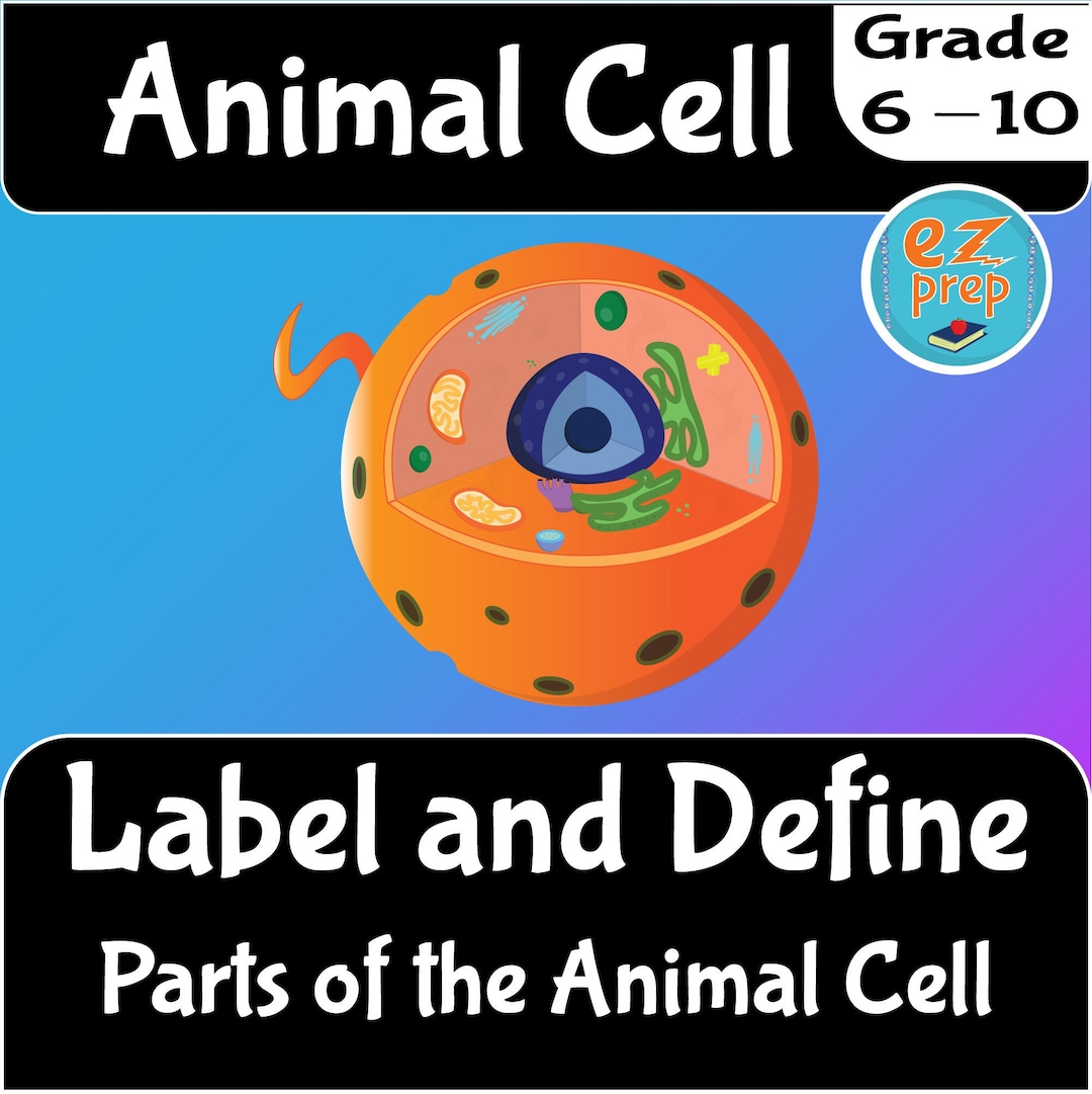 ANIMAL CELL ACTIVITY | Worksheets | Science | Homeschool | High School ...