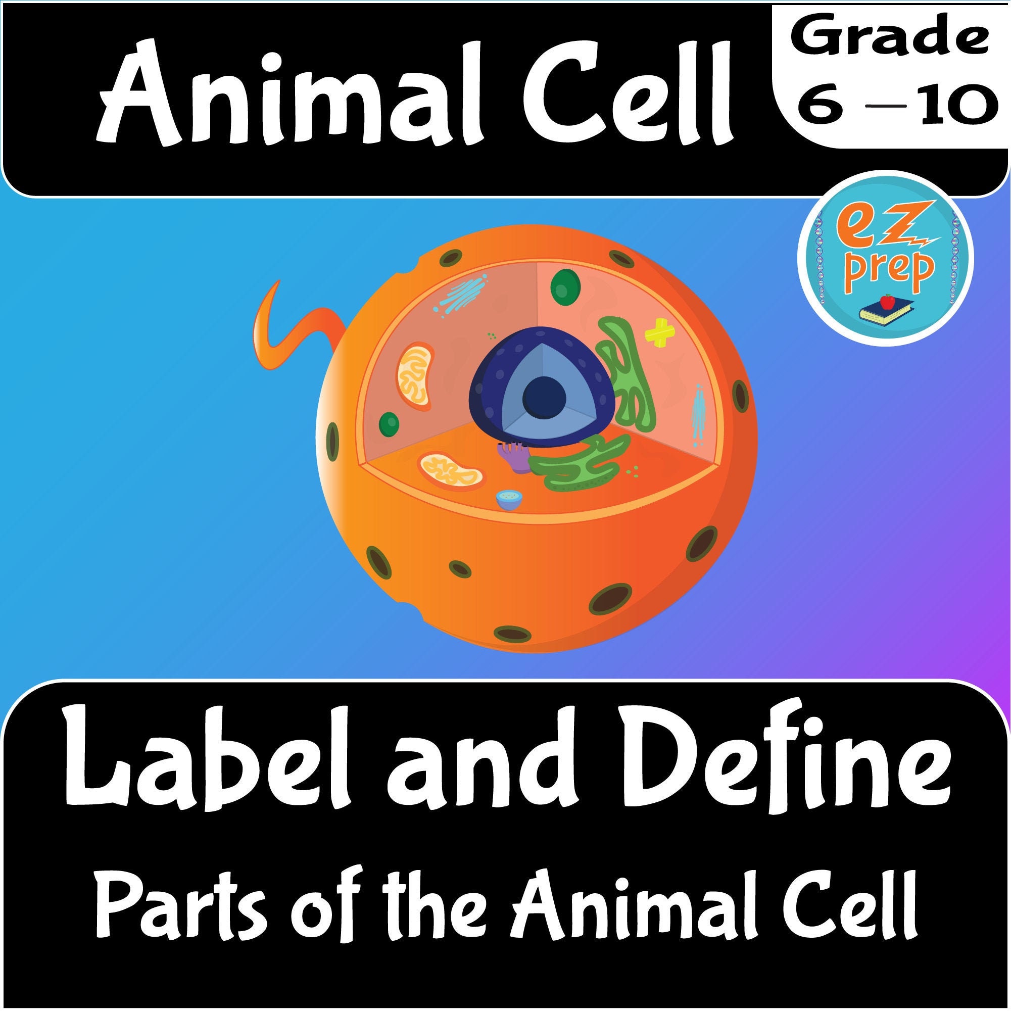 40 Animal Cell Diagram Worksheet Worksheet Information 40-animal-cell-diagram-worksheet-worksheet-information