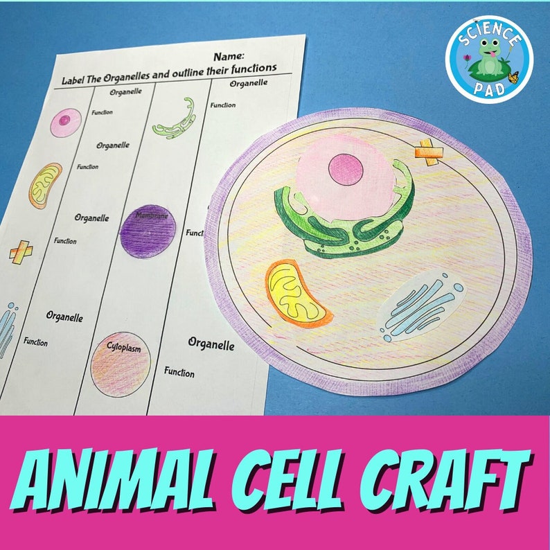 BUILD A CELL | Coloring Activity | Animal Cell | Art | Craft | Science ...