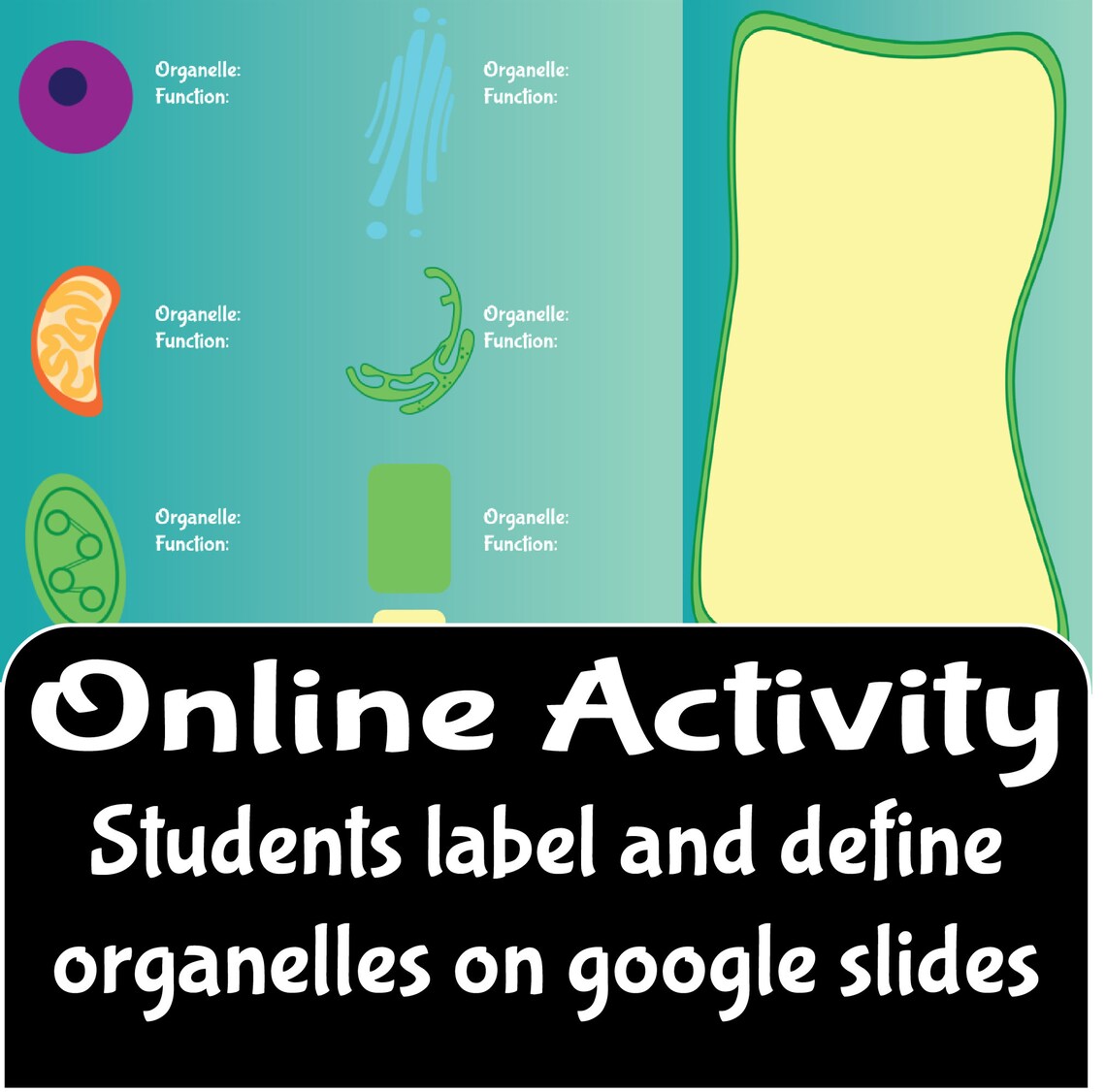 PLANT CELL ACTIVITY Online Activity Google Slides Science Homeschool ...