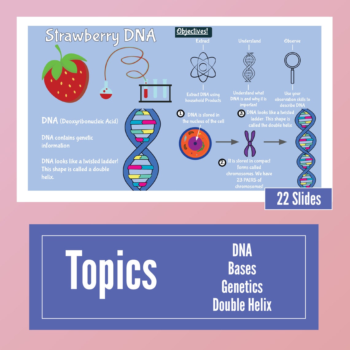 DNA Extraction Strawberry Lab | Easy Prep | Worksheets | Science ...