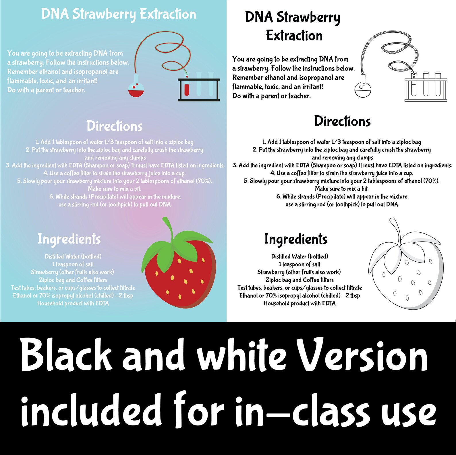 DNA Extraction Strawberry Lab | Easy Prep | Worksheets | Science ...
