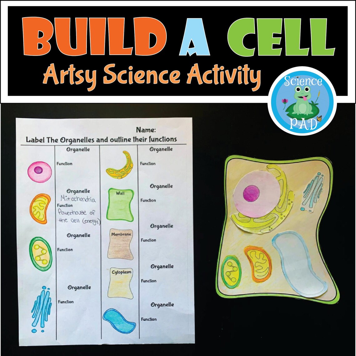 BUILD A CELL Coloring Activity Plant Cell Arts and | Etsy