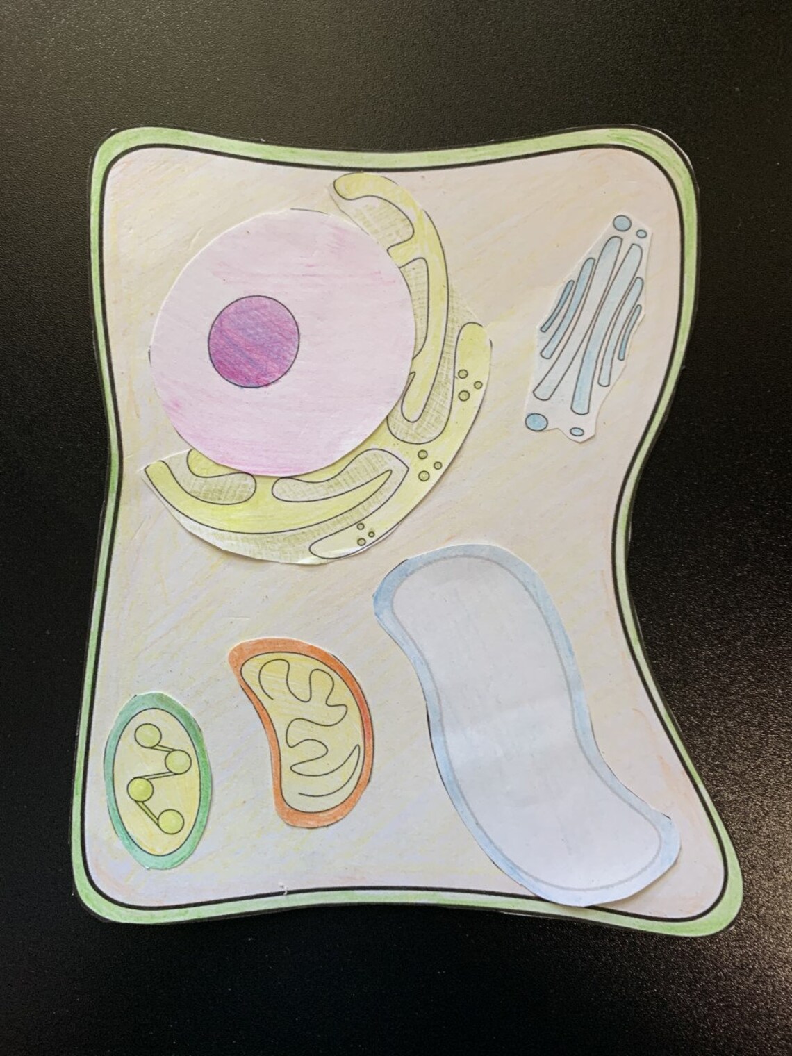 BUILD A CELL Coloring Activity Plant Cell Arts and | Etsy