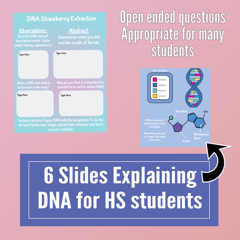 DNA Extraction Strawberry Lab | Easy Prep | Worksheets | Science ...