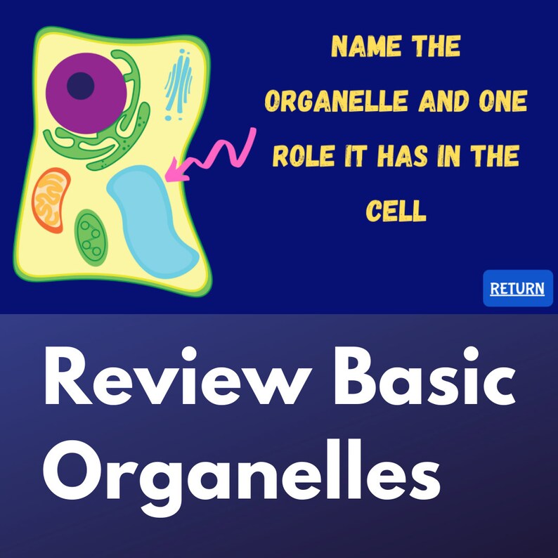 Plant and Animal Cell Jeopardy Classroom Game | Review Basic Organelles ...