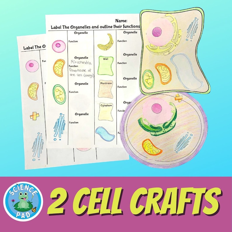 BUILD A CELL Craft | Plant and Animal STEM Craftable | Life Sciences ...