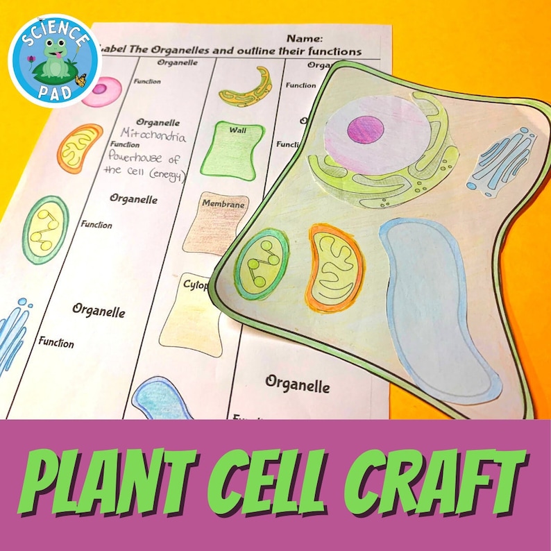 BUILD A CELL | Coloring Activity | Plant Cell | Arts and Crafts ...