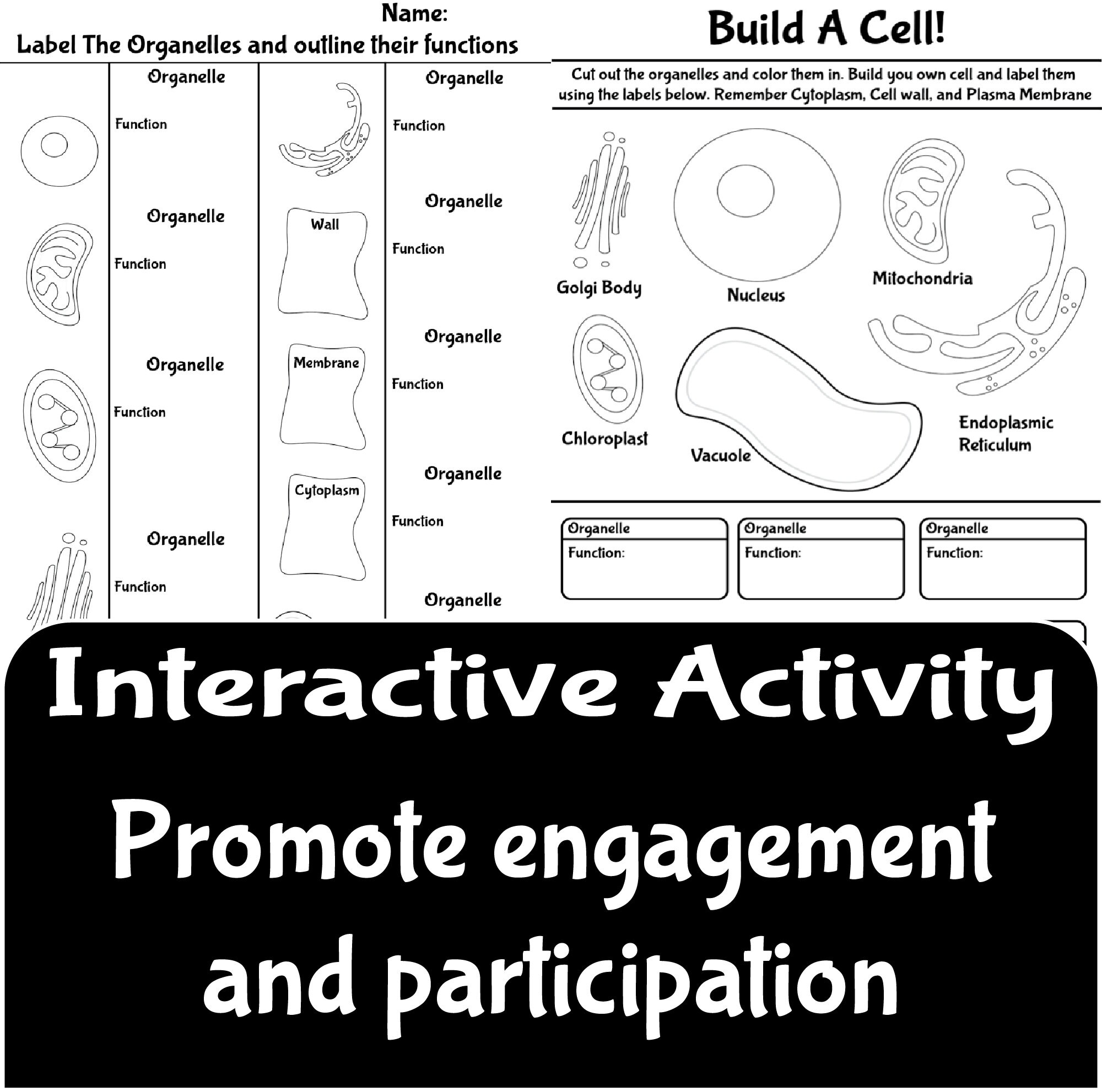 BUILD A CELL Coloring Activity Plant Cell Arts and | Etsy