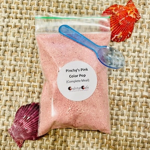 Pinchy's Pink Color Pop complete Meal Hermit Crab Food | Etsy