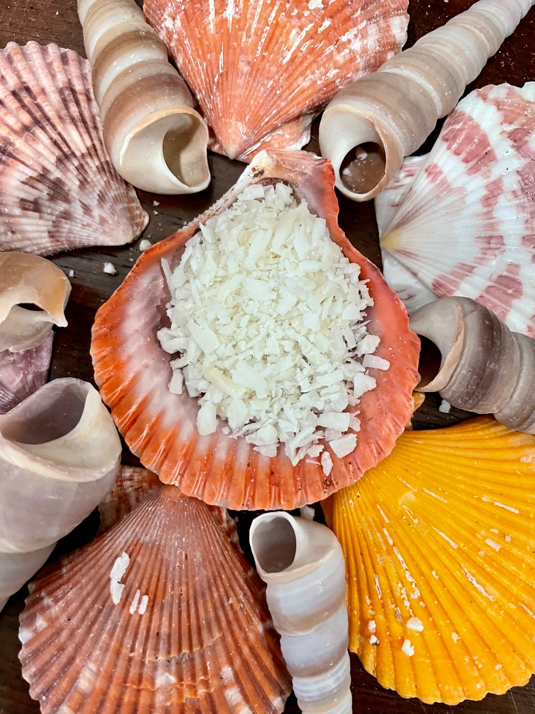 Shredded And/or Flaked Coconut | Hermit Crab Food Treat Snack Nutrition ...