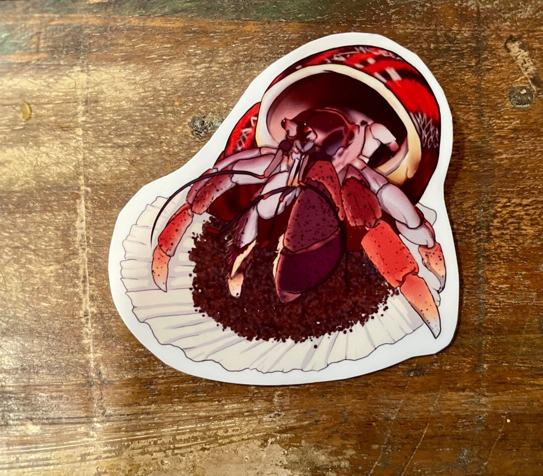 Glossy Vinyl Sticker - Hermit Crab in Food Dish - Waterproof, Water ...