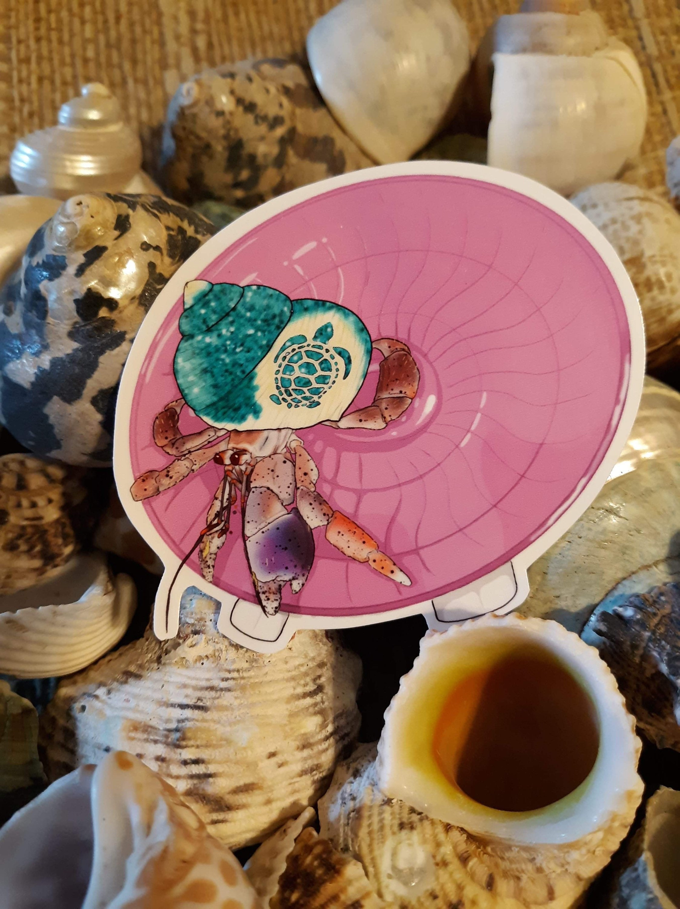 Vinyl Sticker Hermit Crab Wheel Glossy Waterproof - Etsy