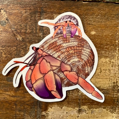Hermit Crab in Shell Sticker Crab Decal Waterproof Vinyl - Etsy