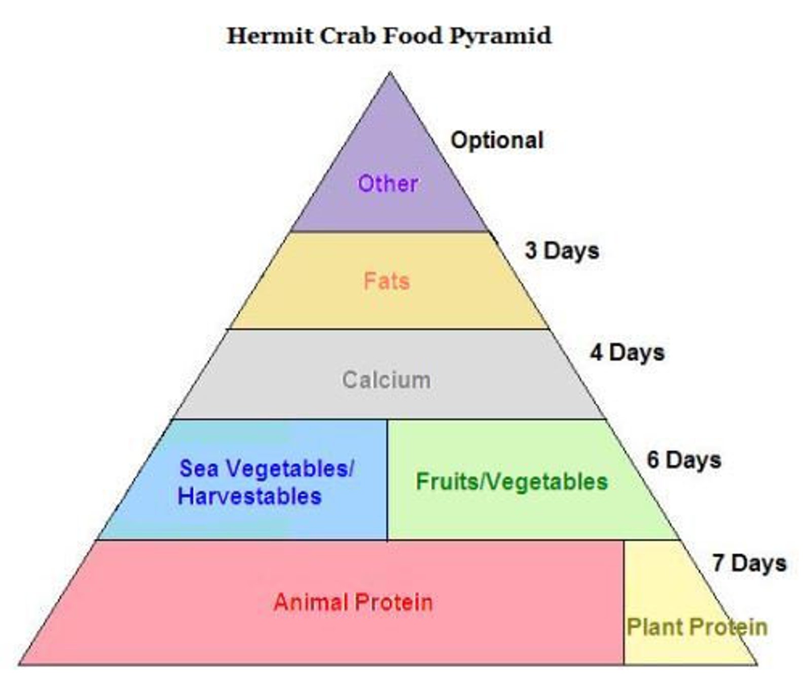 Ultimate Hermit Crab Essential Starter Pack | Hermit Crab Food & Water ...