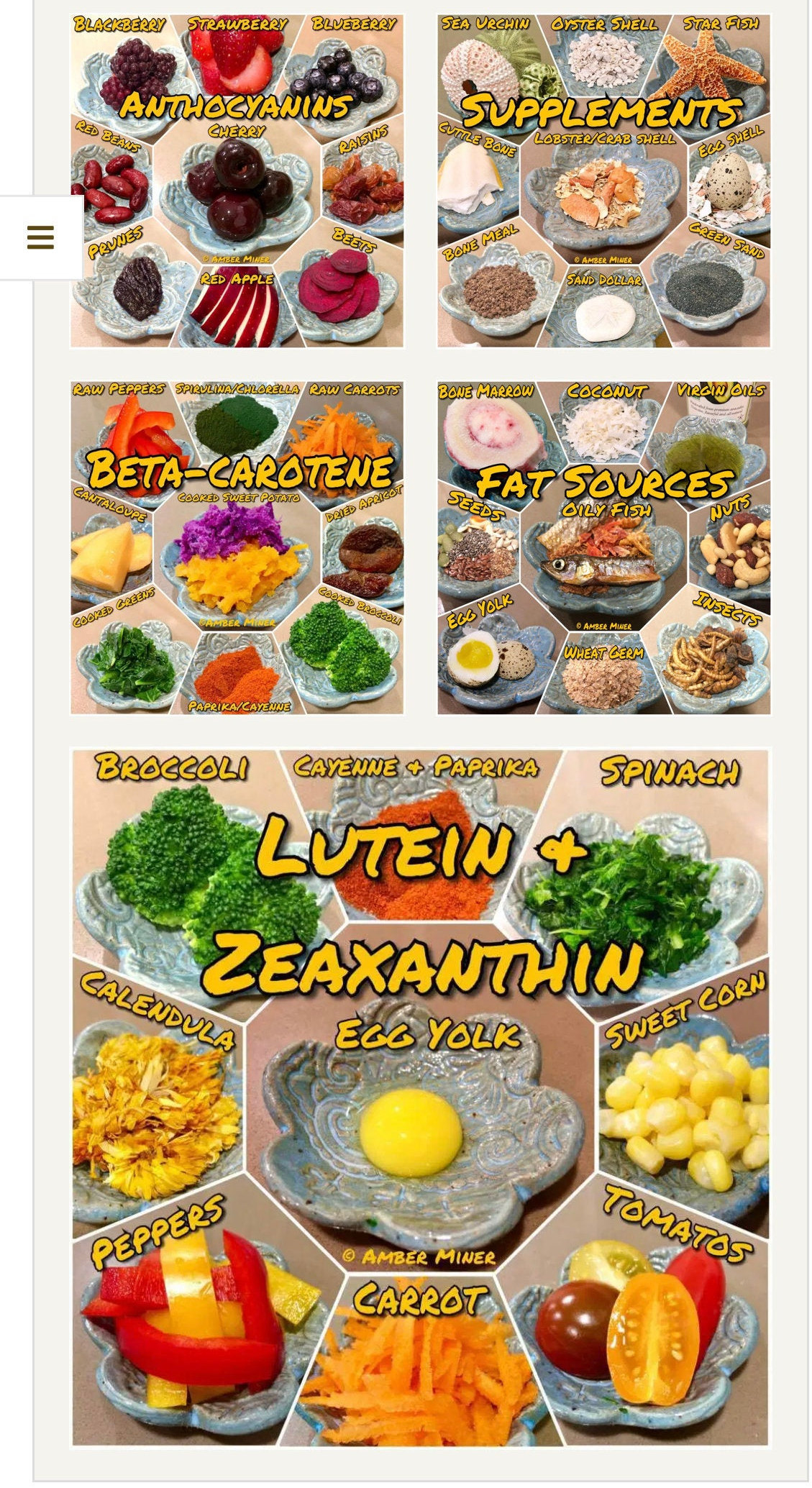 Peewee's Protein Powder Hermit Crab Food - Etsy
