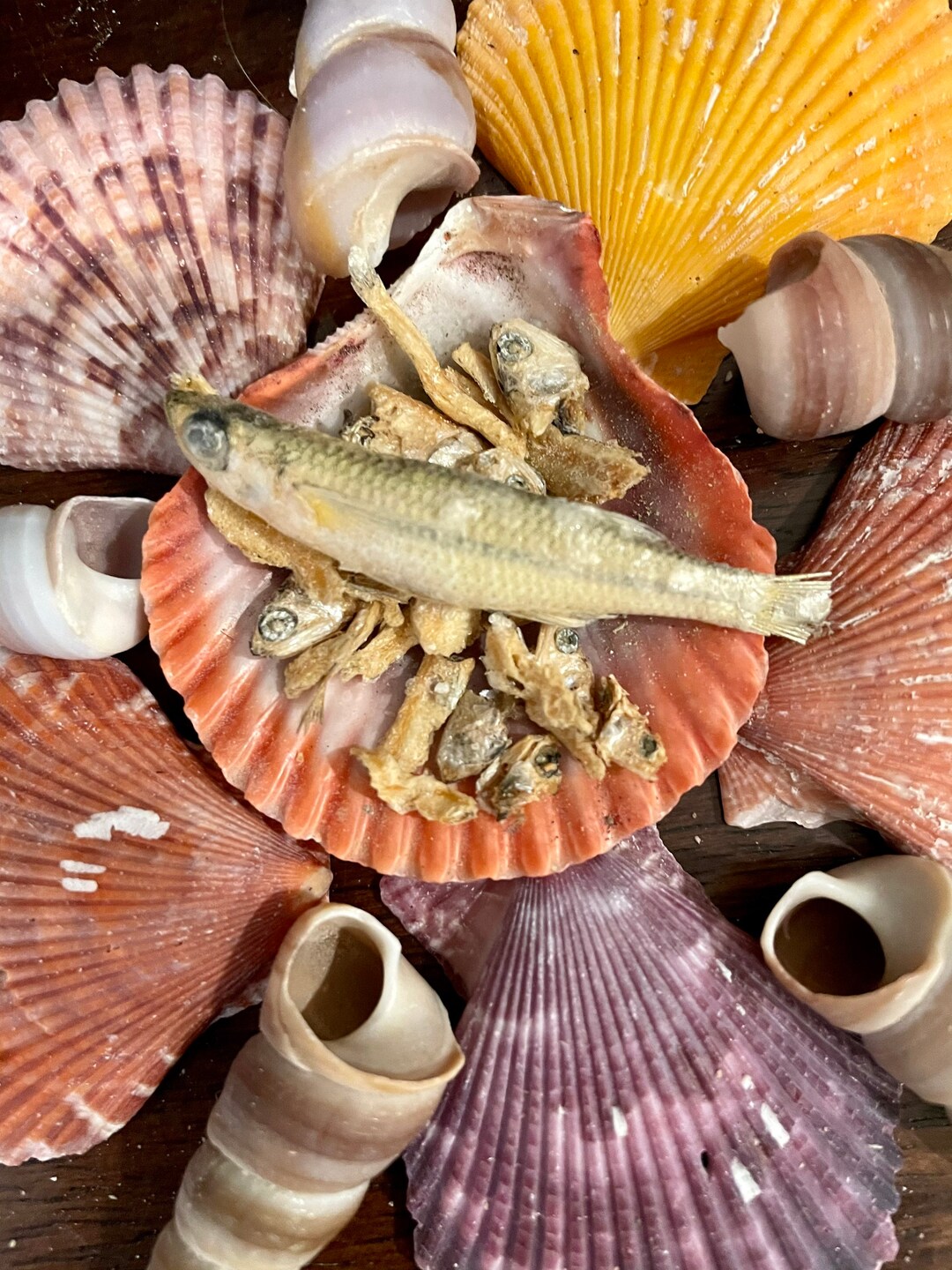 Minnows | Hermit Crab Food Treat Meal Snack Meal Protein Fish Seafood ...