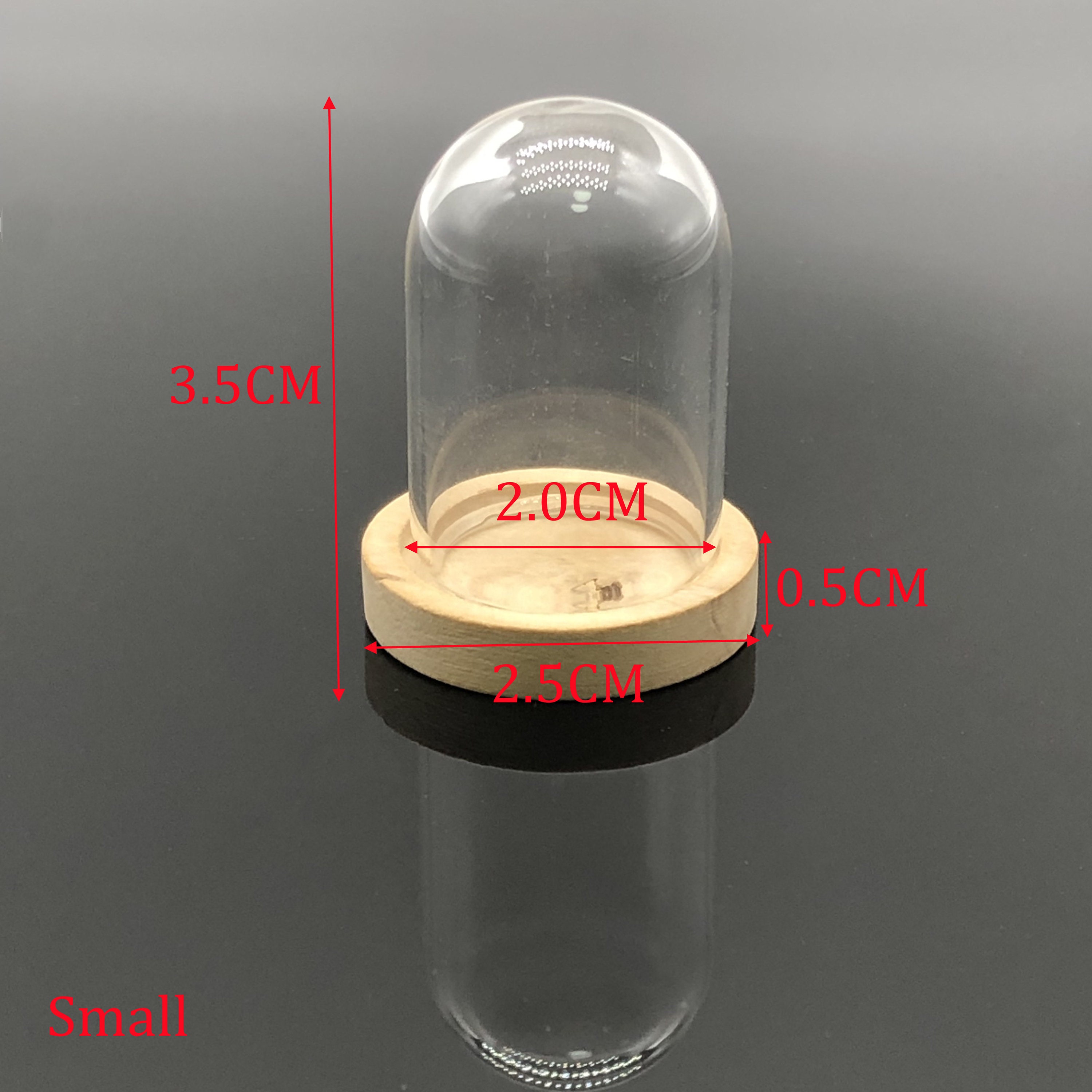 Dollhouse Miniature Glass Dome Display on Wood Base Dollhouse ...