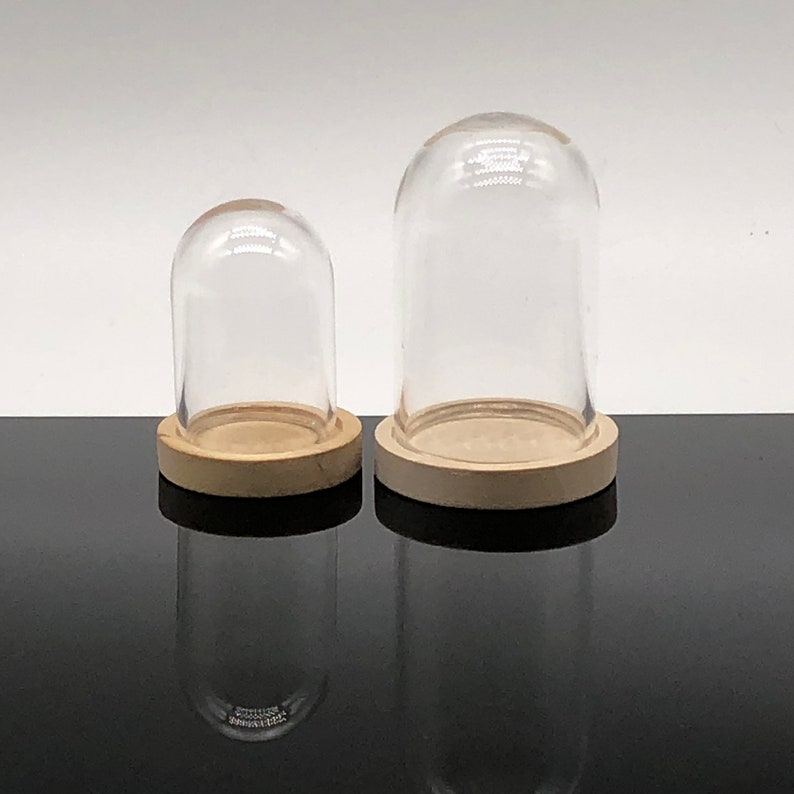 Dollhouse Miniature Glass Dome Display on Wood Base Dollhouse ...