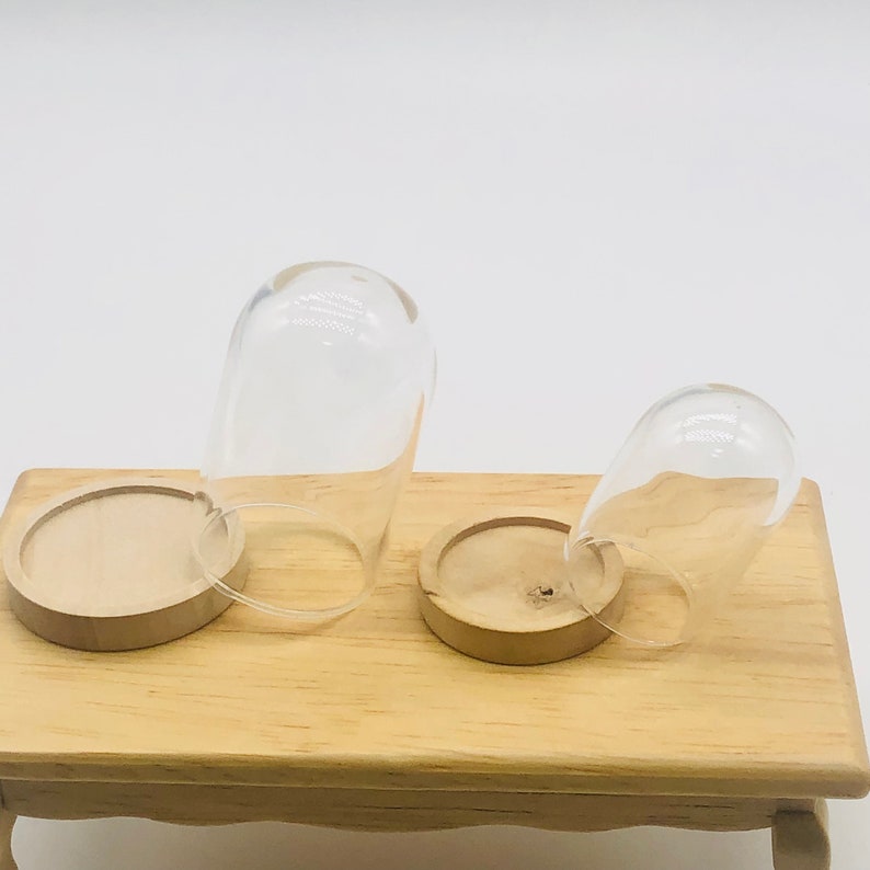 Dollhouse Miniature Glass Dome Display on Wood Base Dollhouse ...