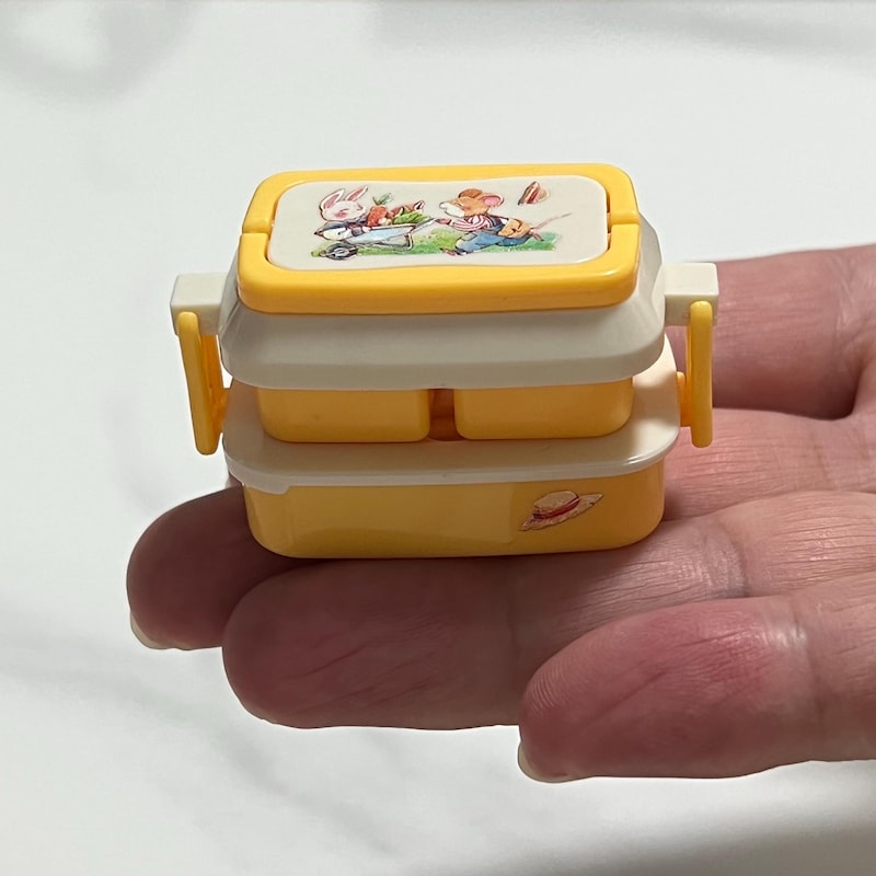 Miniature Lunch Box - Etsy