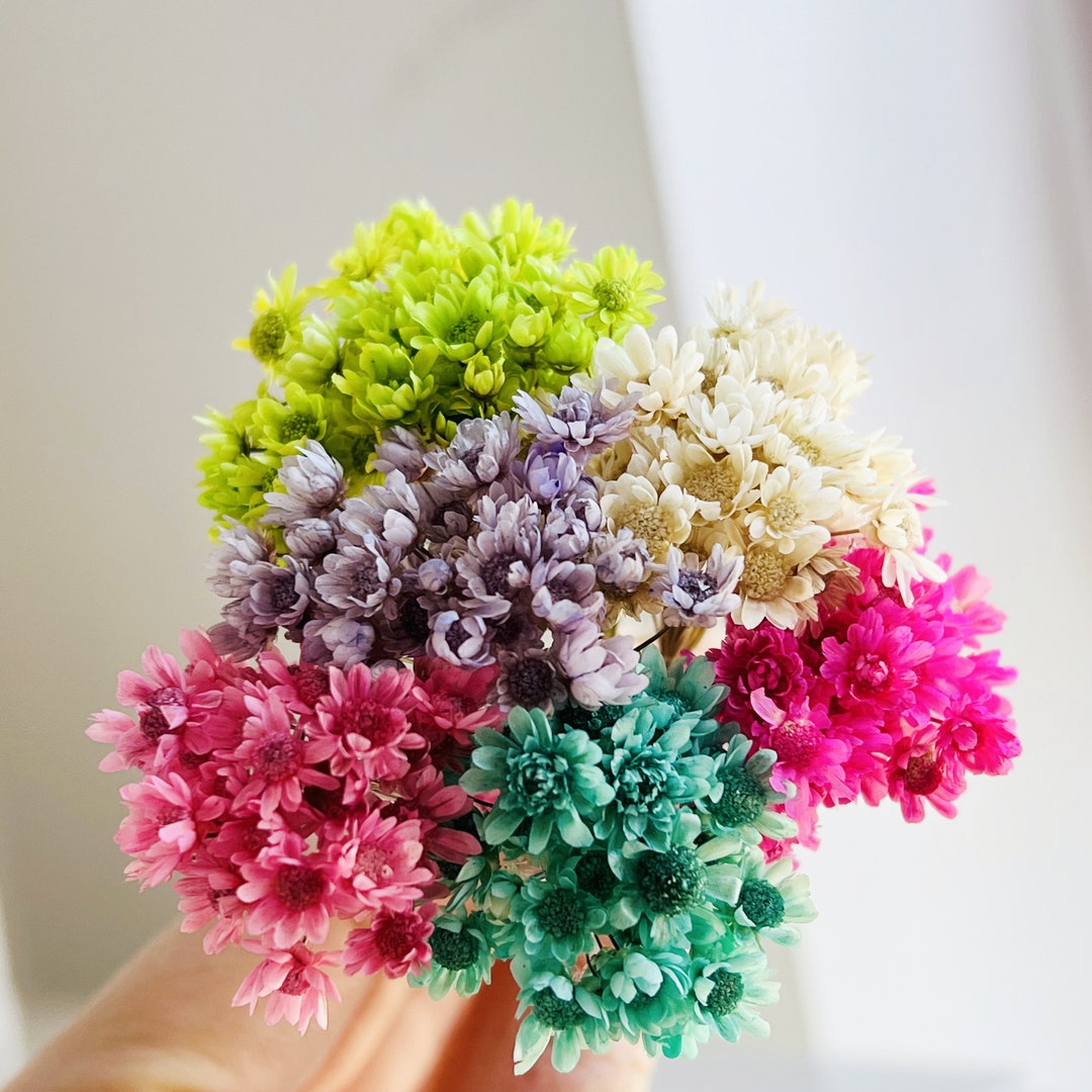 Miniature Flowers Dollhouse Miniature Dried Real Flowers Miniature ...