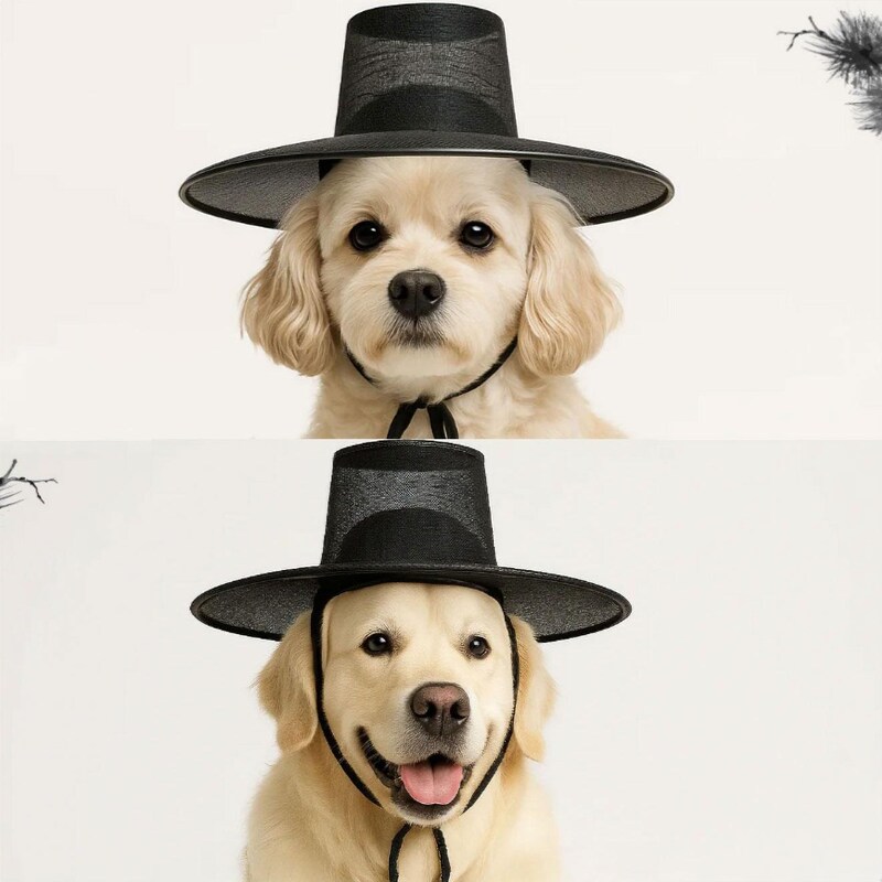 Korean Hat for Dog - Etsy