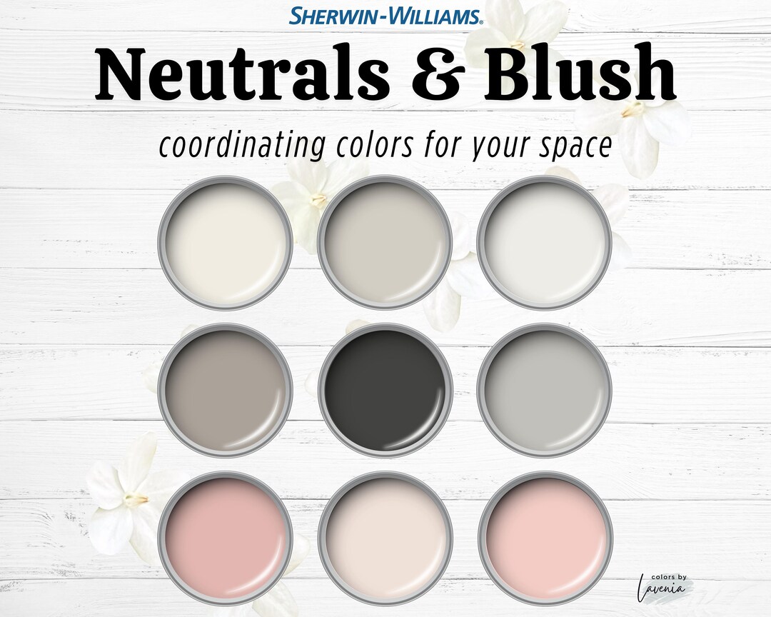 Sherwin Williams Modern Neutrals Paint Color Palette With Iron Ore and ...