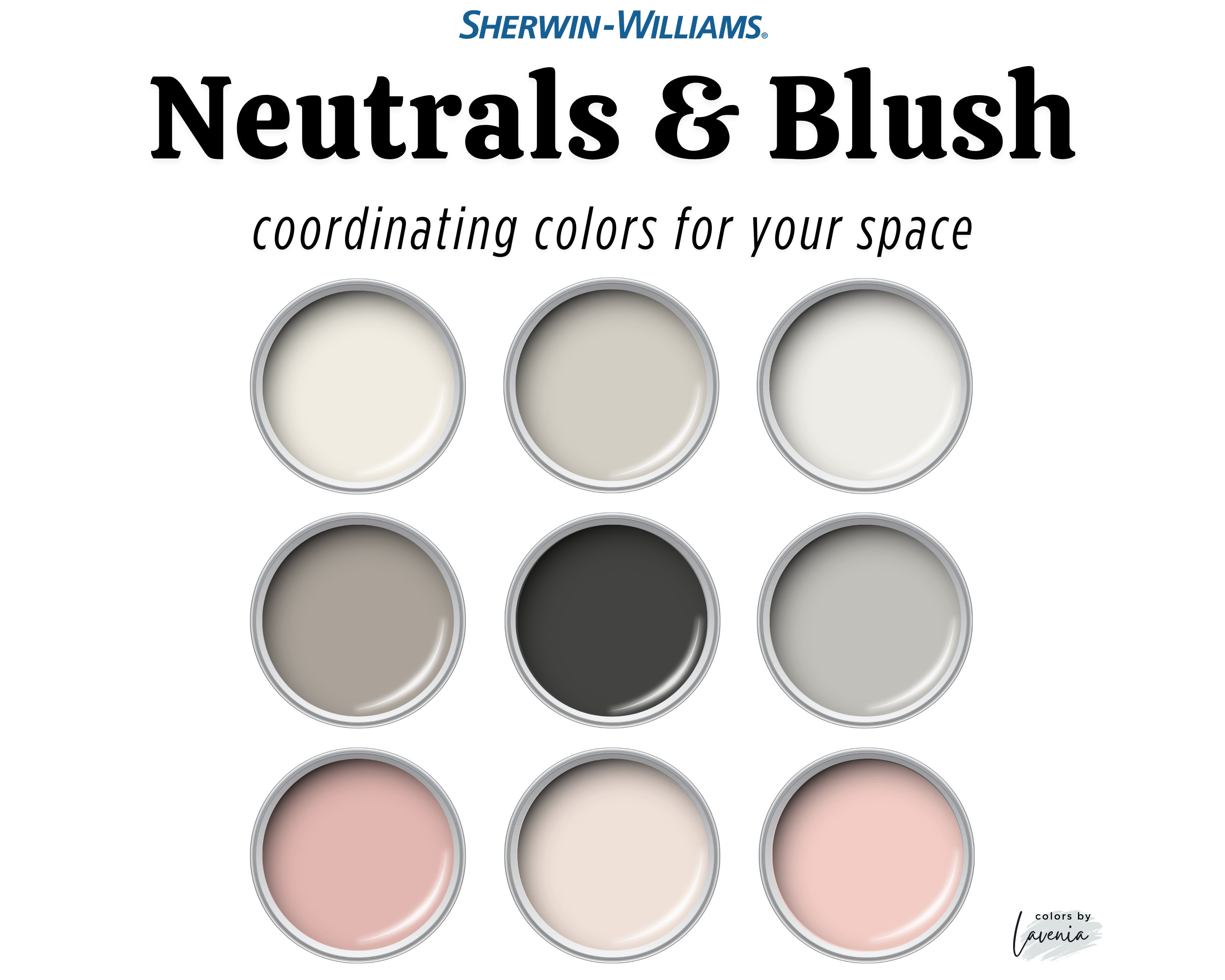 Blush Paint Color Swatch