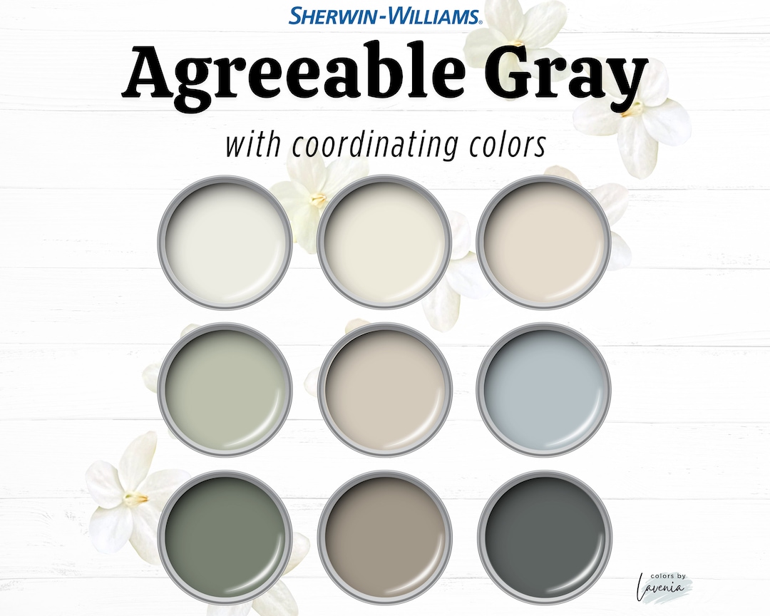 Agreeable Gray Sherwin Williams Paint Palette, Modern Neutral Interior ...